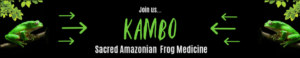 Preparing for Kambo Ceremony - What to do, expect, and bring 🐸