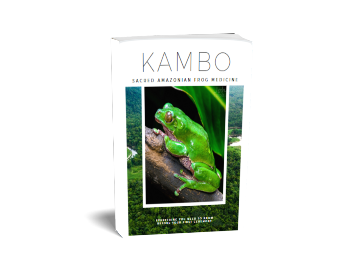Kambo Ceremony - for physical and spiritual detox