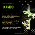 Preparing for Kambo Ceremony - What to do, expect, and bring 🐸