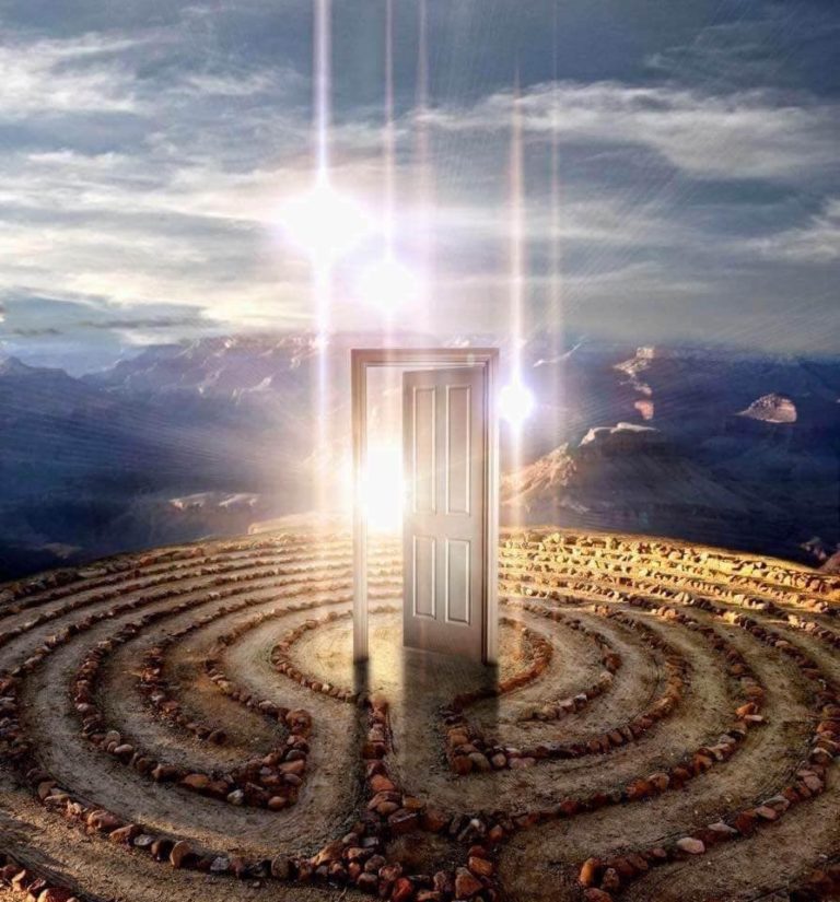 Psychedelic Mushrooms & Enlightenment: A Sacred Path Back