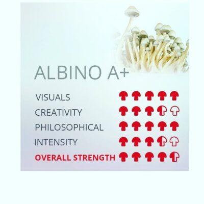 Psilocybin Dosage- A Comprehensive Guide to Scheduling and Dosing - The ...